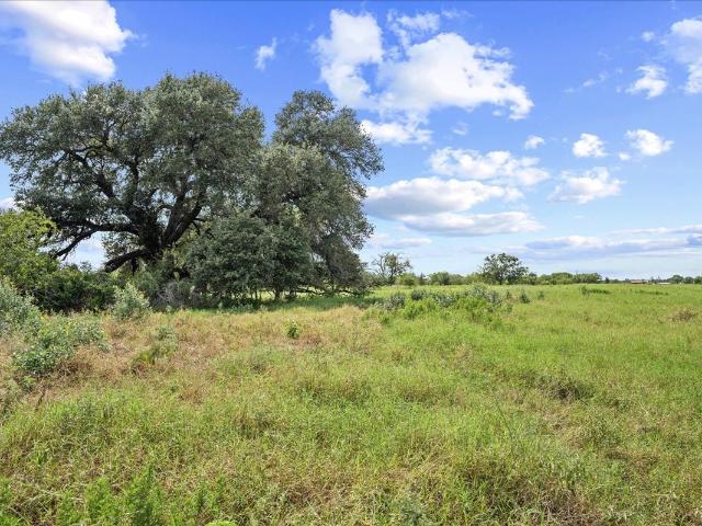 399 Prune Road