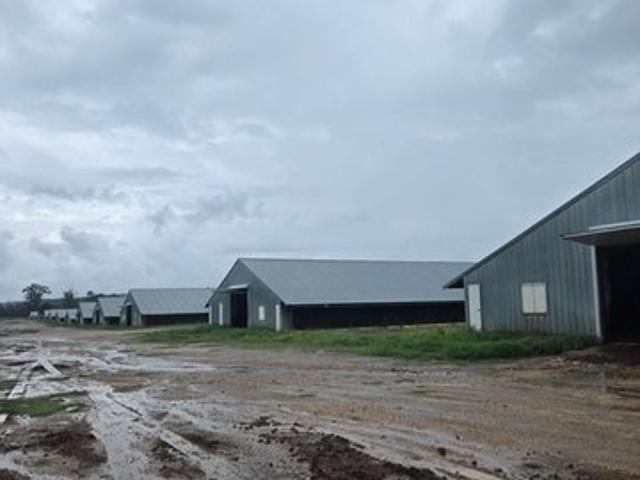 399 Pr # 7110, San Augustine, TX 75972