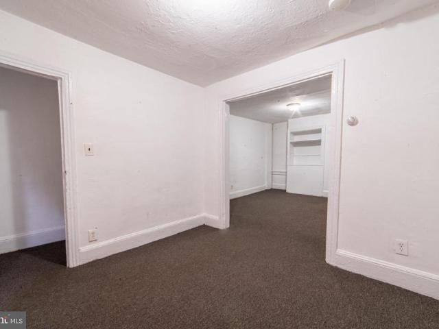 39 41 Coral