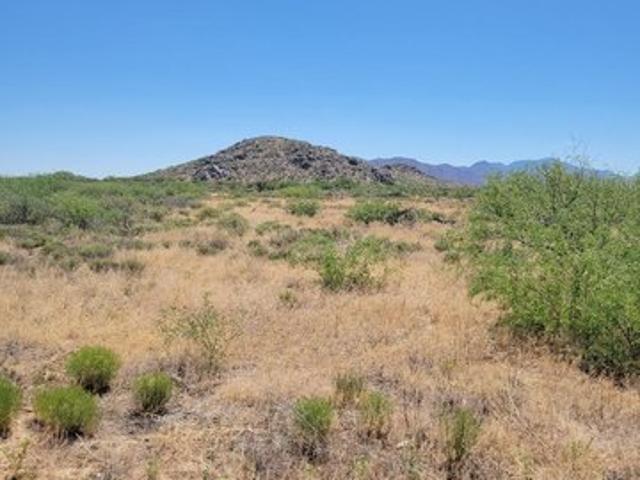39.62 Ac N Wolf Ct, Willcox, AZ 85643