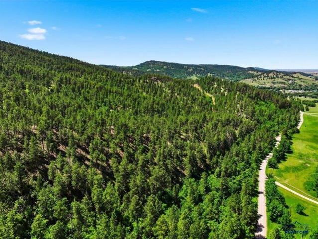 39.7 Acres Crook Mountain Rd, Whitewood, SD 57793