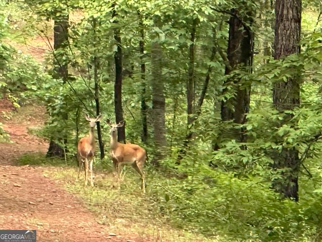 39.87 ACRES Irby Road