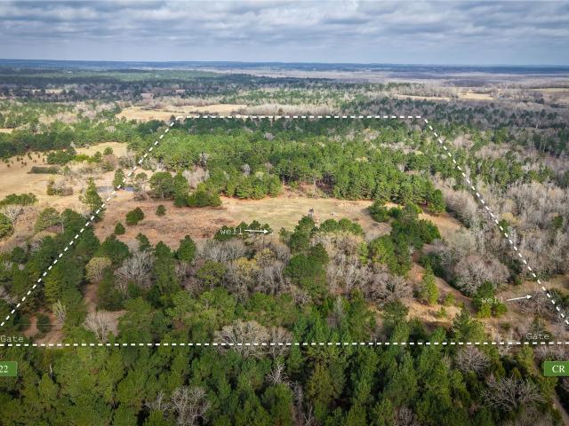 39.15 acres 12868 County Road 122