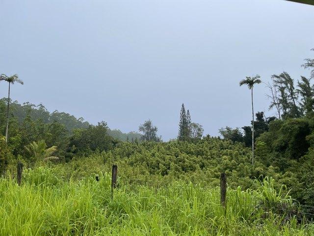 39 3342 Hana Ika Luna Camp Rd, Ookala, HI 96774