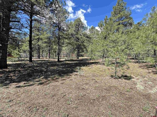 39 W Nebo Ct, Pagosa Springs, CO 81147