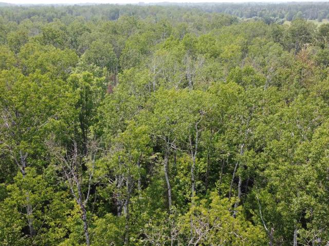 39 xx S County Rd O, Maple, WI 54854 | MLS #6120 | Compass