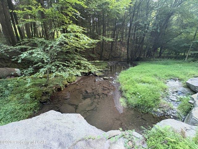 39 and 40 Moon Lake Forest Rd, Hunlock Creek, PA 18621