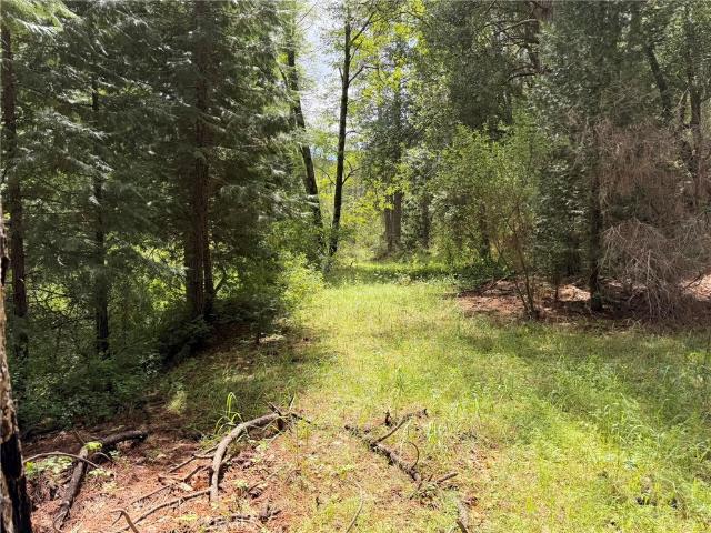 39 Anderson Valley Rd, Coulterville, CA 95311 | MLS #MP26079