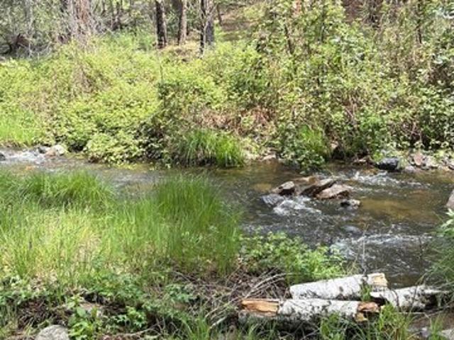 39 Anderson Valley Rd, Coulterville, CA 95311