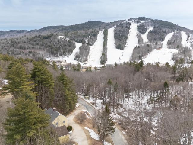 39 Birch Glen Drive