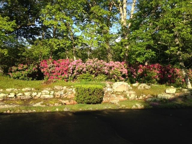 39 Brookside Drive