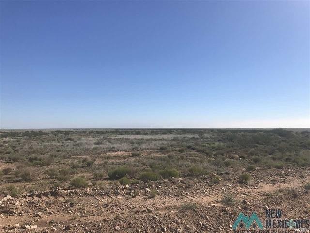 39 Chickisaw Rd, Hagerman, NM 88232