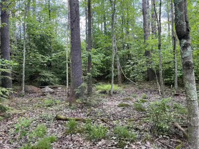 39 CONCORD ST, ANTRIM, NH 03440 Vacant Land For Sale MLS# 499.