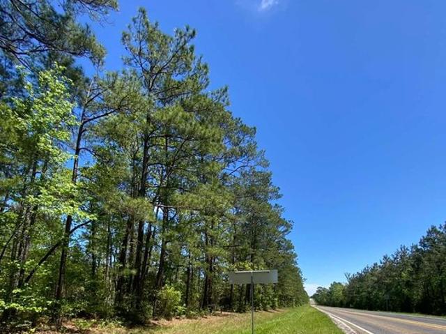 39 E Highway 83, Broaddus, TX 75929