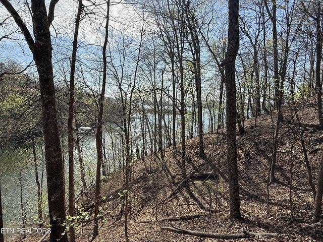 39 Eerie Pt Lot 39, Rockwood, TN 37854