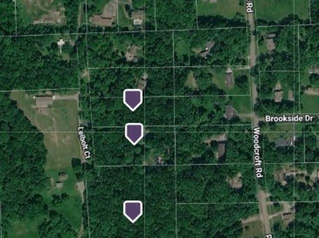 39 Leibolt Ct