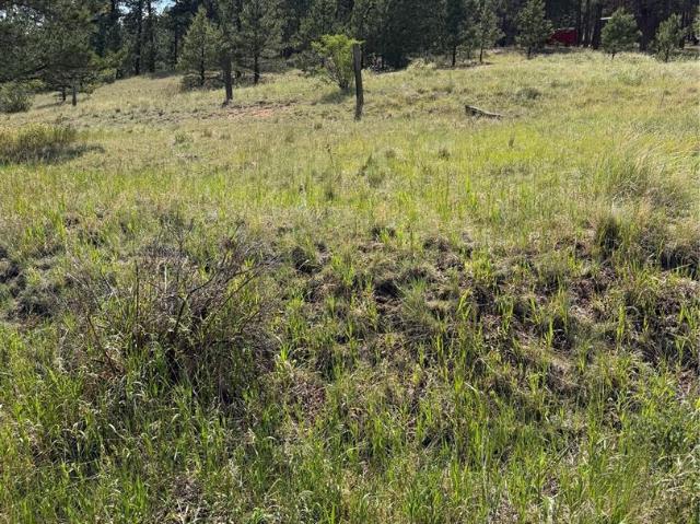 39 Rabbil Creek Trail