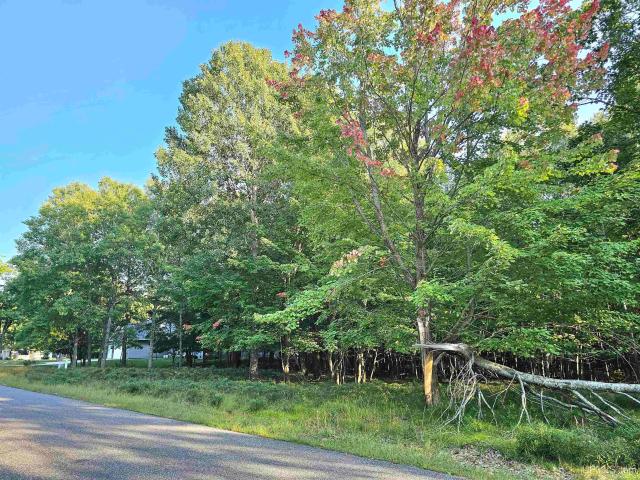 39 Royalton Drive