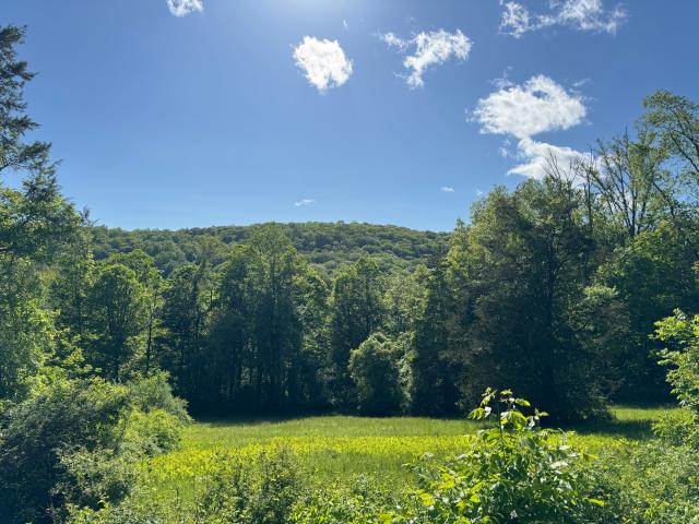 39 S State Rte, Sherman, CT 06784 | MLS #24178