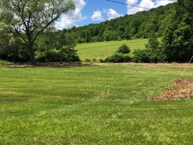 39 Sherman Hill Rd, Sidney, NY 13839