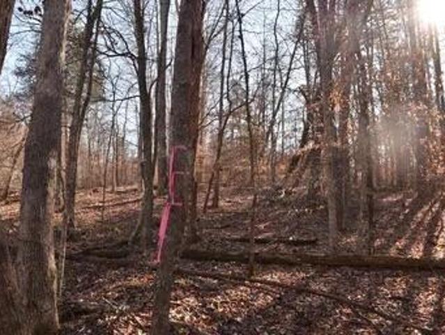39 SW Omega Park Road