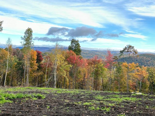 39 Swaller Hill Rd, Unit LOT 3, Sharon, CT 06796 | MLS #24141