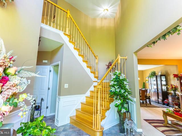 3 Mackenzie Court