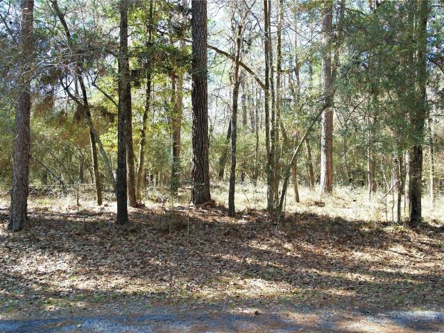 3 Magnolia Ct, Trinity, TX 75862 | MLS #67261