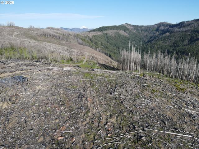 3 Middle Horse Creek RD