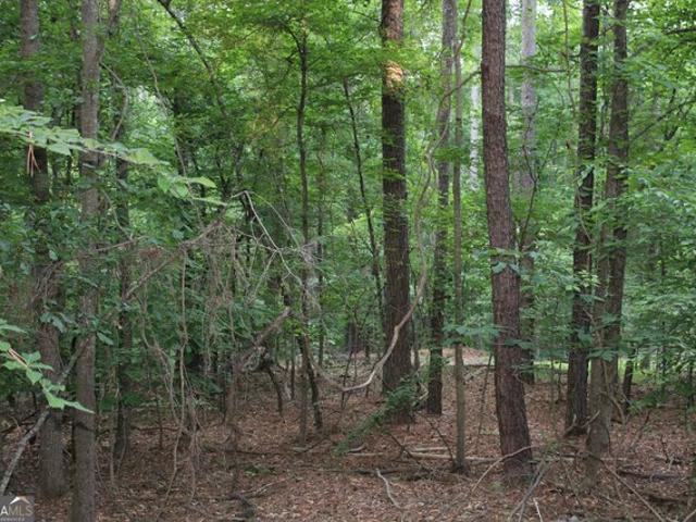 3 Mount Moriah Rd, Auburn, GA 30011