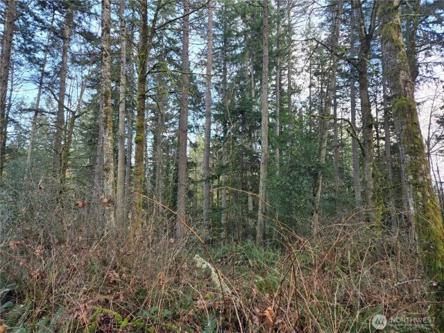 3 NW, Poulsbo, WA 98370 | MLS #2481