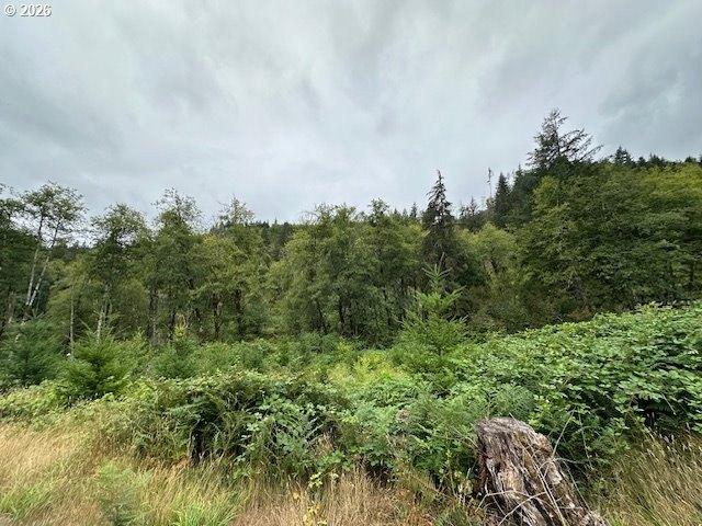 3 N Dubois Rd, Ariel, WA 98603
