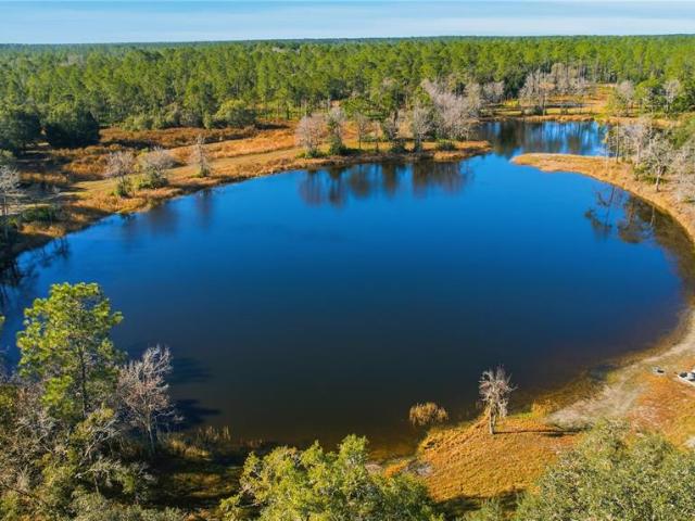 3 NE 115th Ave, Fort McCoy, FL 32134 | MLS #OM715199