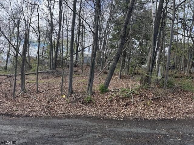 3 Neptune Rd, West Milford, NJ 07421 | MLS #4021