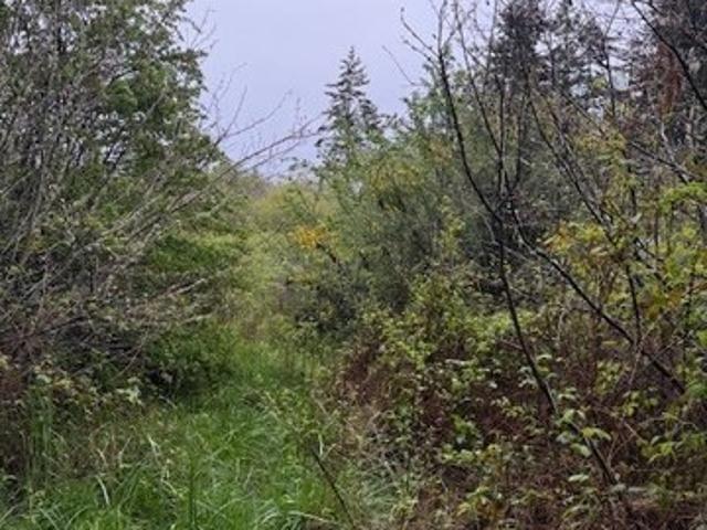 3 Nka Katherine St Lot 3, Port Townsend, WA 98368