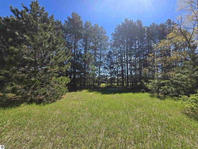3 North St, Mesick, MI 49668