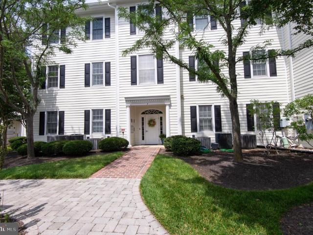 3 Oakley Street # 202