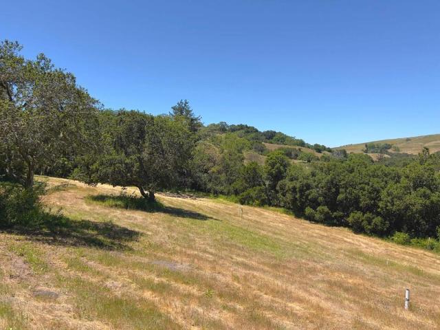 3 Ohlone Trace
