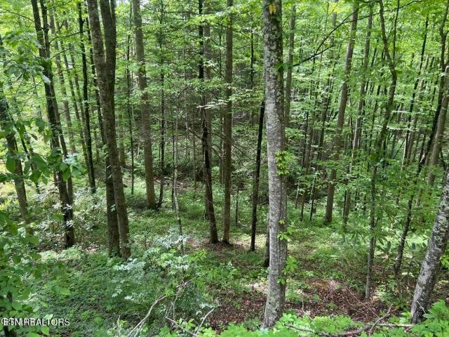 3 Old Cartertown Rd