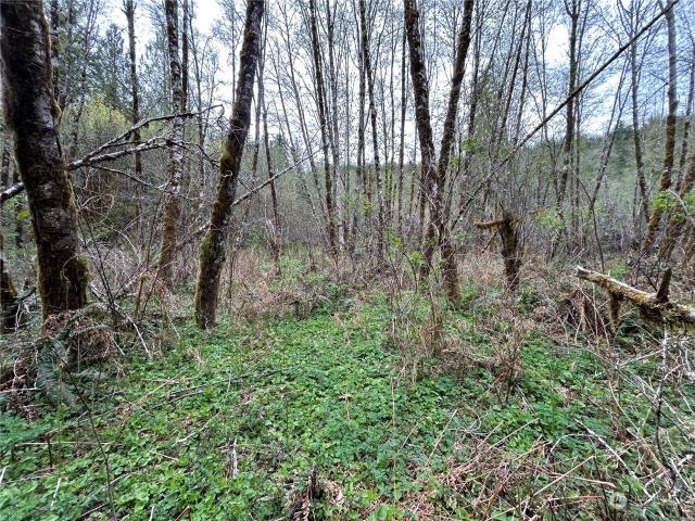 3 Abernathy Creek Rd, Longview, WA 98632 | MLS #2225