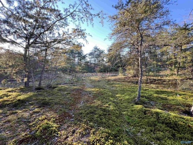 3 AC County Road 52