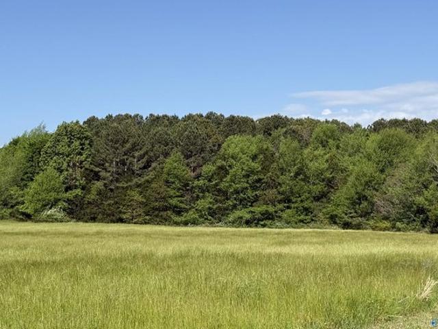 3 Acres Mount Lebanon Rd, Toney, AL 35773