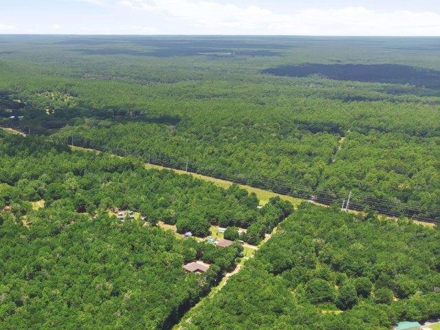 3 Acres Bryant Bridge Cutoff Rd, Holt, FL 32564