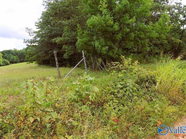 3 Acres County Road 198