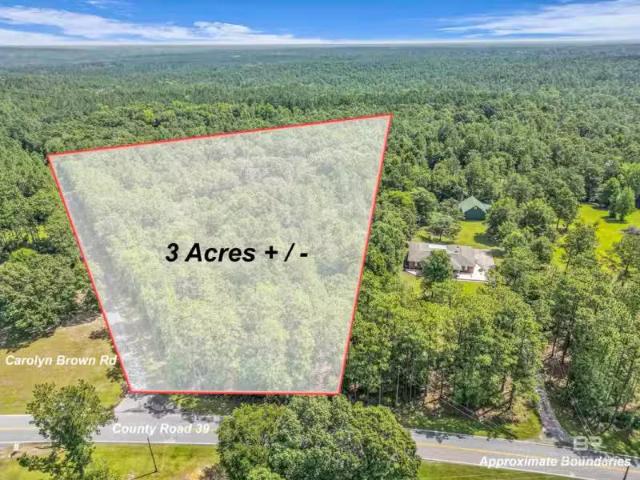 3 ACRES COUNTY ROAD 39, STAPLETON, AL 36578