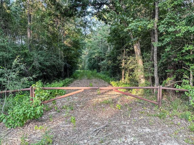 3 Acres Sky Oak Lane