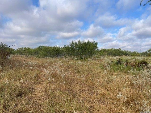 3 Acres Tbd County Road 118, Floresville, TX 78114