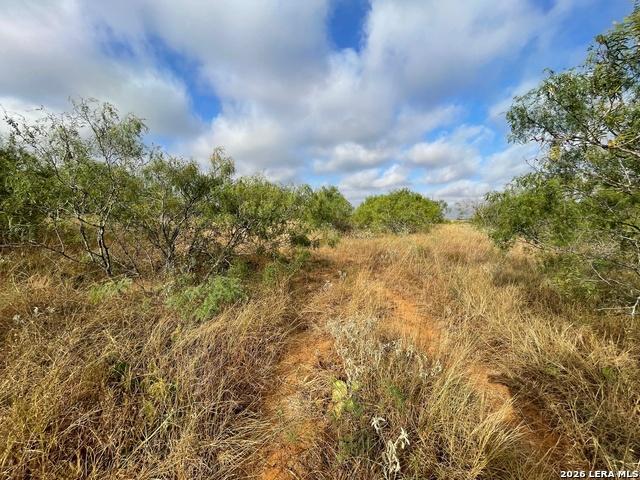 3 acres tbd cr 118