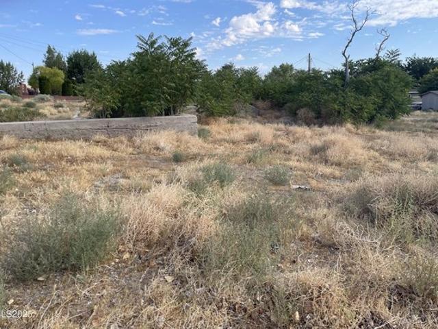 3 and 7 Bridge St, Yerington, NV 89447
