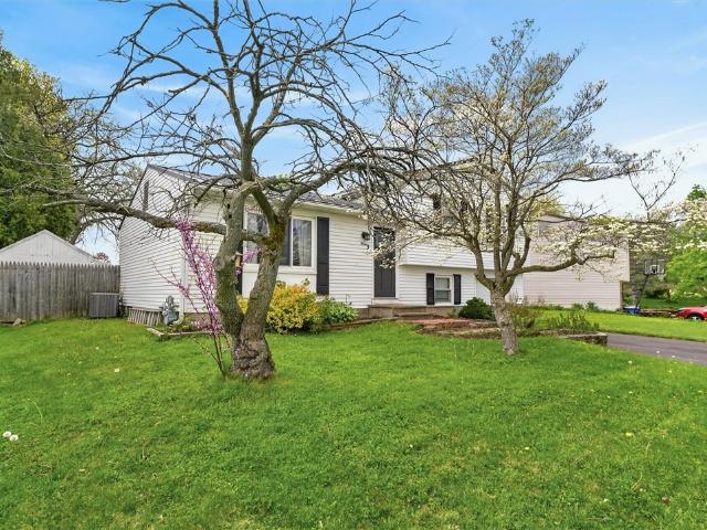 3 Barringer Drive